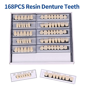 168 Pieces False Teeth Dental Complete Acrylic Resin Denture Teeth, 6 Sets Whole Teeth Synthetic Polymer Denture Tooth, 23 Shade A3 Upper + Lower Dental Materials for Replacement, DIY, or Halloween
