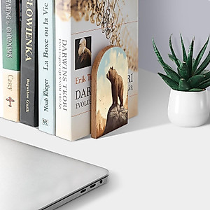 Bear on Stone Autumn Tree Book Ends Decorative Wood Bookends for Shelves Kids Room Desk Home Office Book Stoppers for Magazines,Books, DVDs, 1 Pair/2 Pieces(5x3.1 in)