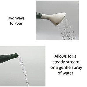 The HC Companies 2 Gallon Standard Watering Can, Green