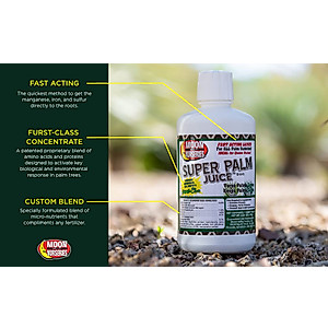 Super Palm Juice - Palm Tree Fertilizer - 1 Quart Concentrate