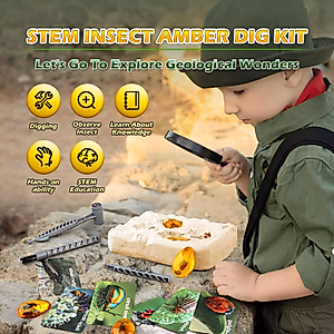 Amber Dig Kit - Insects in Resin, 8 Insects Specimens Excavation Kit, Geographic Bug Toys for Kids, Educational Science Kits for Bugs Collection, STEM Toys for Boys & Girls Age 6 and up Birthday Gift