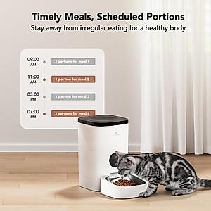PETLIBRO Automatic Cat Feeders, Cat Food Dispenser with Customize Feeding Schedule, WiFi Timed Cat Feeder with Interactive Voice Recorder, Automatic Pet Feeder for Cat Dog 1-4 Meals Dry Food 4L