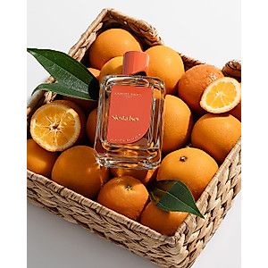 Michael Malul Siesta Key Eau de Parfum for Women - 100ml | 3.4oz