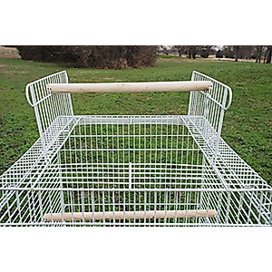 57" Rolling Standing Medium Dome Bird Cage Open Top Quaker Parrot Cockatiel Sun Parakeet Green-Cheek Conure Canary Lovebird Budgie Parrotlet Finch Cage with Detachable Stand