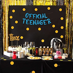 Official Teenager Blue Glitter Banner - 13th Birthday Party Decorations, Gifts, and Supplies