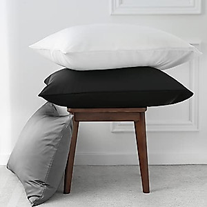 100% Mulberry Silk Pillowcase for Hair and Skin, Dafinner Standard Size Pillow Case 2 Pack with Hidden Zipper, 20x26, White