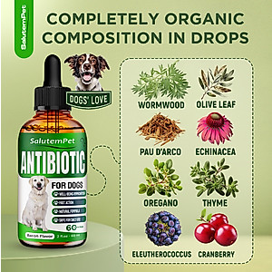 Natural Antibiotics for Dogs | Dog Antibiotics | Antibiotic for Dogs | Dog Antibiotic | Antibiotics for Dogs | Natural Ingredients| 2 Oz