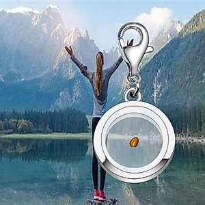 BEKECH Faith Mustard Seed Charm Zipper Pull Clip On Gift for Religious Men Women Faith Jewelry Gift Christian Gift for Faithful Men Women Graduates (silver stainless steel)