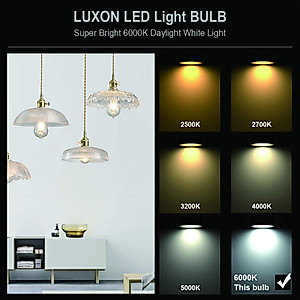 LUXON LED Edison Bulb Dimmable Vintage Style Light Bulbs 6W 5500K - 6000K Bright Daylight White E26/E27 Base 6-Pack Antique Bulb