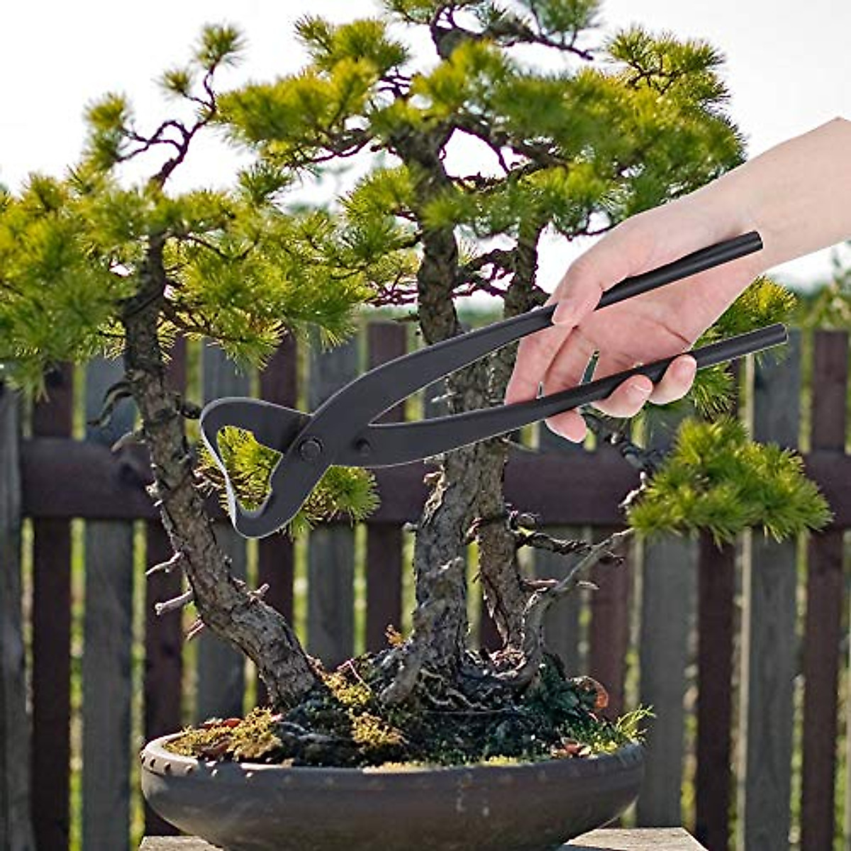 Pruning Shears, Ergonomic Hand Gardening Bonsai Tools Plant Tree Branch Cutter Pruning Scissors Bypass Trimming Shears 27cm