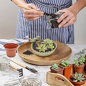 Small Bird Flower Pots Succulent Planters Special Design Fun Garden Animal Ceramic Pots with Hole for Home Office Desktop Decoration