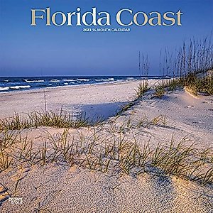 Florida Coast | 2023 12 x 24 Inch Monthly Square Wall Calendar | Foil Stamped Cover | BrownTrout | USA United States of America Southeast State Nature