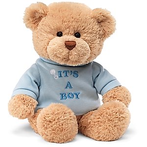 GUND “It’s a Boy” Message Bear with Blue T-Shirt, Teddy Bear Stuffed Animal for Ages 1 and Up, Brown, 12”