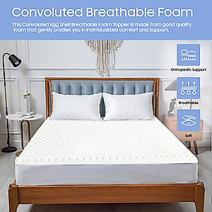 Greaton Breathable 2-inch Convoluted Egg Shell Foam Mattress Topper | Toppers for Mattresses Adds Ultimate Comfort, Reduces Back Pain, Perfect Body Support, Maintain Proper Posture, Queen, White