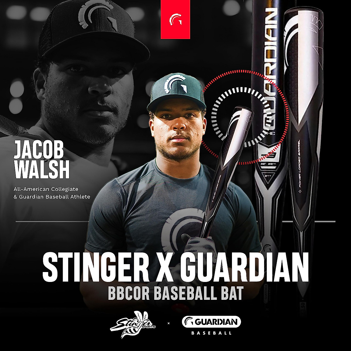 Guardian X Stinger BBCOR Baseball Bat - 3 Drop - 2 5/8" Barrel - Available in 31” to 34” - Drop 3 Baseball Bat for Middle School, High School, or College - 32" - 29 oz - Black/Gray