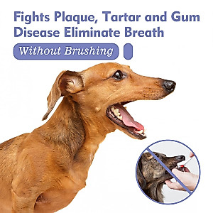2PCS Pet Teeth Mouth Cleaning Spray, Pet Oral Care Cleaner, Cat & Dog Breath Freshener Spray