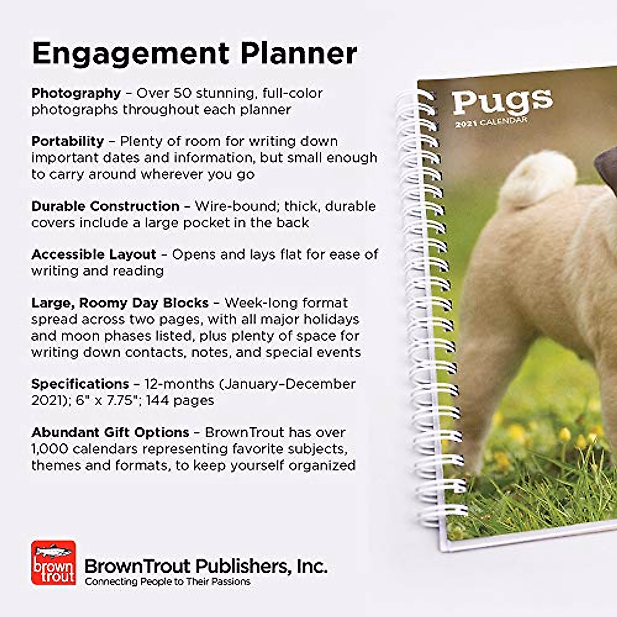 Labrador Retrievers 2021 Calendar