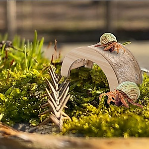 Hermit Crabs Climbing Bridge, Hermit Crab Climbing Toys with Jute Cloth, Wooden Hermit Crab Hideout, Habitat Decor Aquarium Terrarium Tank Cage Accessories for Hermit Crab Hamster Chinchilla Ferret