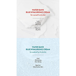 LANEIGE Water Bank Blue Hyaluronic Cream - Normal To Dry Skin Cream Unisex 1.6 oz