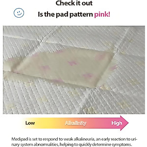 Ruord ScratchMe Super-Absorbent Waterproof Dog and Puppy Pet Training Pad, Housebreaking Pet Pad, 25-Count Large-Size,