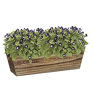 Classic Home and Garden Wood Window Box - Handled Buffalo Brown
