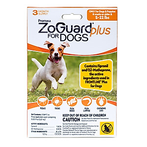 ZoGuard Plus Flea and Tick Prevention for Small Dogs - Flea and Tick Prevention for Dogs 5-22lbs (3 Doses)