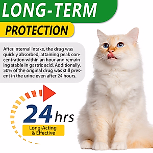 Antibiotics for Cats, 2 Oz Natural Cat Antibiotics Supports for UTI Cat Immune Support, Cat Multivitamin, Cat Itch Relief, Cat Allergy Support, Chicken Flavor