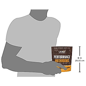 Laird Superfood Organic Performance Mushroom Blend with Chaga, Cordyceps, Lion's Mane and Maitake for Energy and Cognition, 3.17 oz. Bag, Pack of 1
