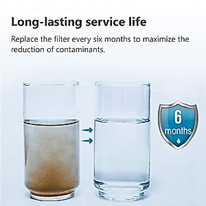 Waterspecialist AP810 Whole House Water Filter, Replacement for 3M Aqua-Pure AP810, AP801, AP811, Whirlpool WHKF-GD25BB, WHKF-DWHBB, 5 Micron, 10" x 4.5", Well & Tap Water Filter, Pack of 3