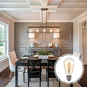 HESSION Vintage Edison LED Bulb, 6-Pack ST58 E26 Base 40 Watt Equivalent, Warm White 2200K-2700K, Antique Vintage Style Light, Squirrel Cage Filament Edison Light Bulbs Amber Glass, Dimmable