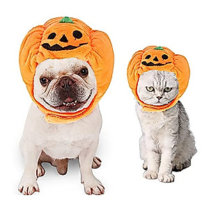 ANIAC Dog Halloween Hat Kitten Pumpkin Cap Puppy Party Cosplay Trick Costume Pet Cute Headgear Festival Head Accessory for Cat and Small Dogs (Small)