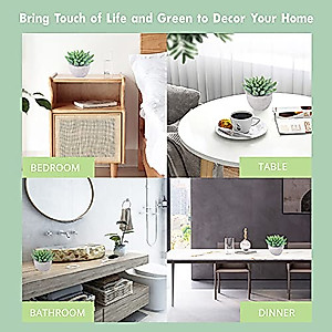 EMOHOME Citronella Aroma Candles, Succulent Candle Set with Terracotta Pots for Home and Party Decor, Festival Presents, Birthday Gifts.Gift.