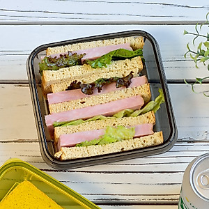 Youngever 3 Pack Sandwich Containers for Lunch Box, Reusable Food Storage Containers, Meal Prep Containers (Single Sandwich 20 Ounce)