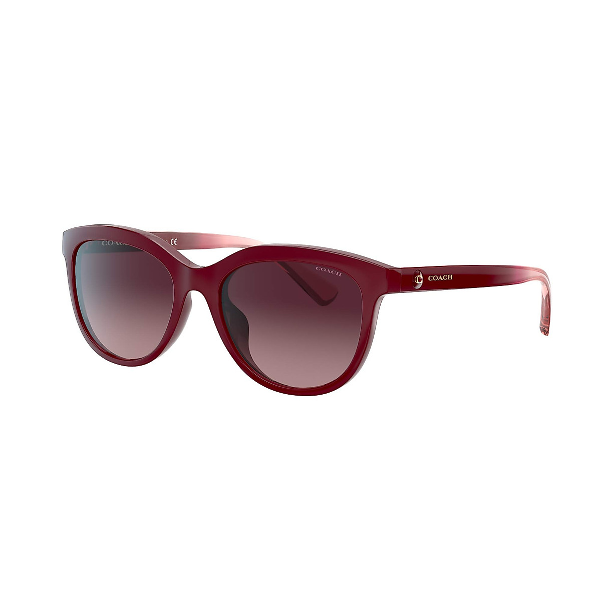 Coach Sunglasses HC 8285 U 50318H Burgundy
