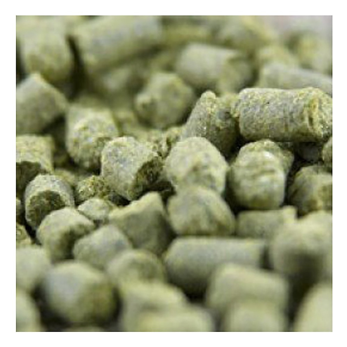 Simcoe Hop Pellets-1 Pound