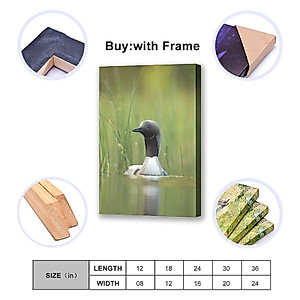 Black Throated Loon Birds Canvas Poster Bedroom Decor Sports Landscape Office Room Decor Gift,Canvas Poster Wall Art Decor Print Picture Paintings for Living Room Bedroom Decoration 8x12inchs(20x30cm)