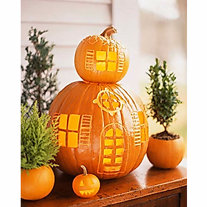 MIXED SEEDS! 50+ Pumpkin and Winter Squash MIX Seeds NON-GMO 25 Varieties Delicious Grown in USA. Rare, Super Profilic and Delicious HARLEY SEEDS