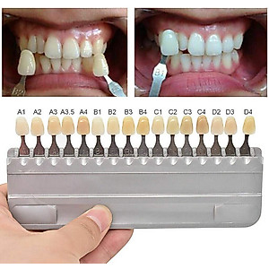 Tooth Shade Guide Teeth Whitening Tool 16 Colors Deachable Teeth Easily for Comparing Tooth Shade Before & After Bleaching
