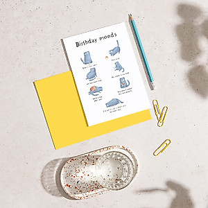 Huxters Funny Birthday Card – A5 Cat Birthday Card with Included Envelope – Unique Hand Illustrated Design – Ultra-Thick Recyclable Paper – Ideal Mother Birthday Card, Best Friend, Cat Lovers…