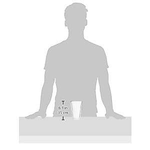 Bodum Canteen Double Wall Cooler/Pint Glass, Set of 2