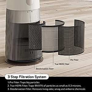LG AeroTower Air Purifying Fan [AAFA Certified] True HEPA Air Purifiers + Tower Fan for Baby & Pets UVnano LED Air Purifier for Home & Large Rooms Up To 818 sq ft Smart Remote ThinQ App, Beige U9CV1C