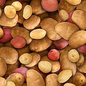 Potatoes in Multi Premium Quality Cotton Fabric by The Yard L8