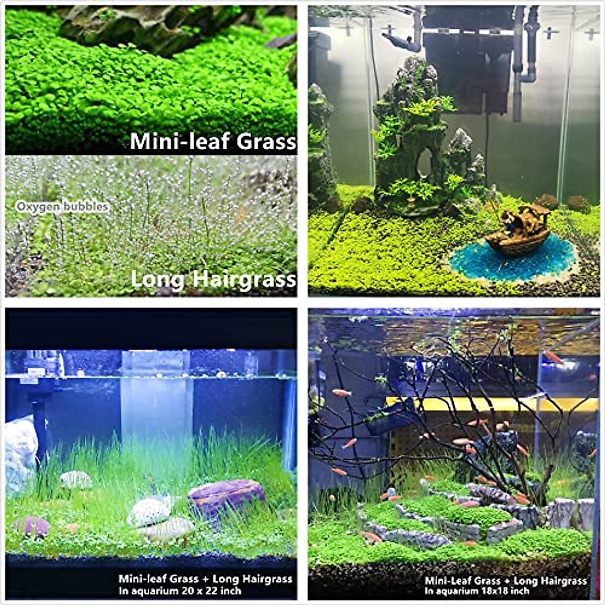 3 Pack Live Aquarium Plant Seeeds, Fresh Water Fish Tank Carpet Grass Plants Mini Leaf & Long Hair Grass for Terrarium Aquatic 21c