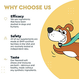 WONDER PAWS Omega Max Fish Oil Plus Probiotic Chews - for Dog Joint Health, Skin Moisture, Gut Health & Daily Wellness - Omega Max 16 Ounces - Probiotic 90 Chews