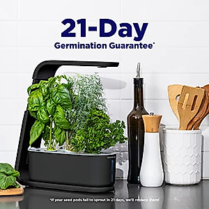 AeroGarden Sprout with Gourmet Herbs Seed Pod Kit - Hydroponic Indoor Garden, Black