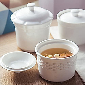 Operitacx Ceramic Stew Pot with Lid and Spoon Japanese Small Steam Soup Bowl Steaming Cup Serving Dish Seasoning Jar for Cereal Rice Chili Beef Stew Medicinal Birds Nest Egg Custard Appetizer