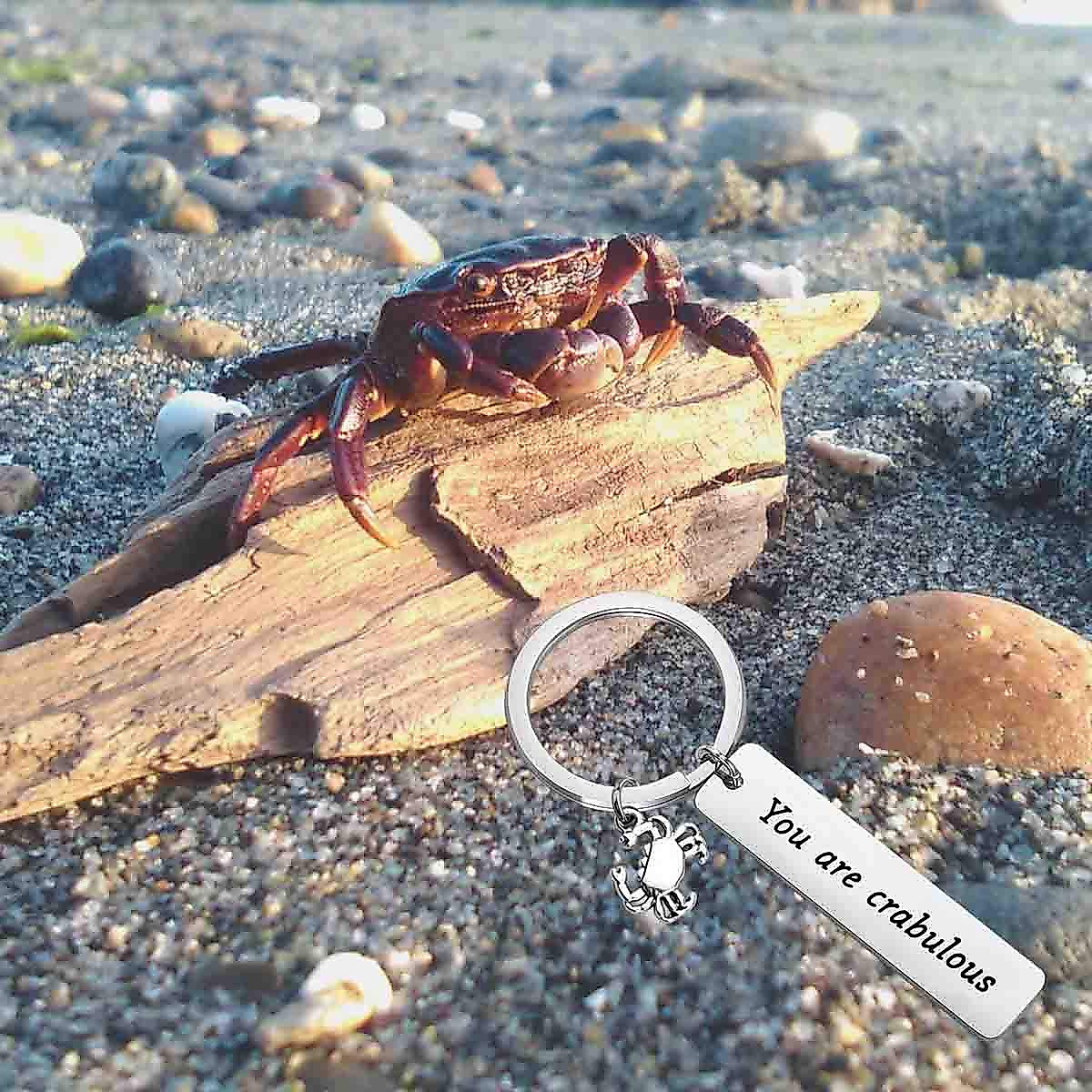 ENSIANTH Funny Crab Keychain You Are Crabulous Keychain Crab Jewelry for BFF Traveler Gift (Crab Key)