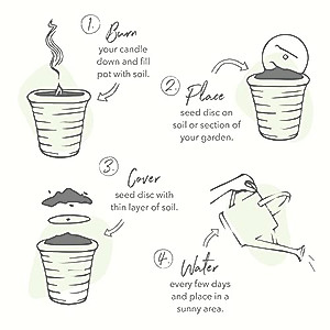 Northern Lights The Flower Garden English Daisy Candle/Planter, 12 oz