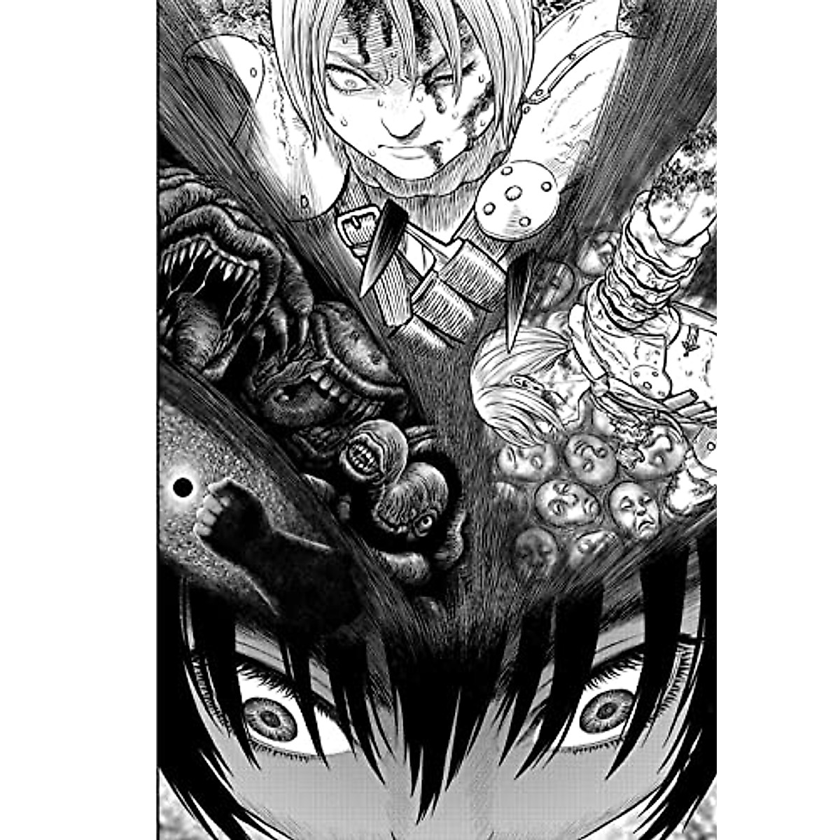 Berserk Volume 41 (Berserk (Graphic Novels))