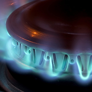 Evergreen Farm and Garden Coleman Propane Replacement Fuel Cylinders 16 oz Camping Fuel Bundled (6 Pack)